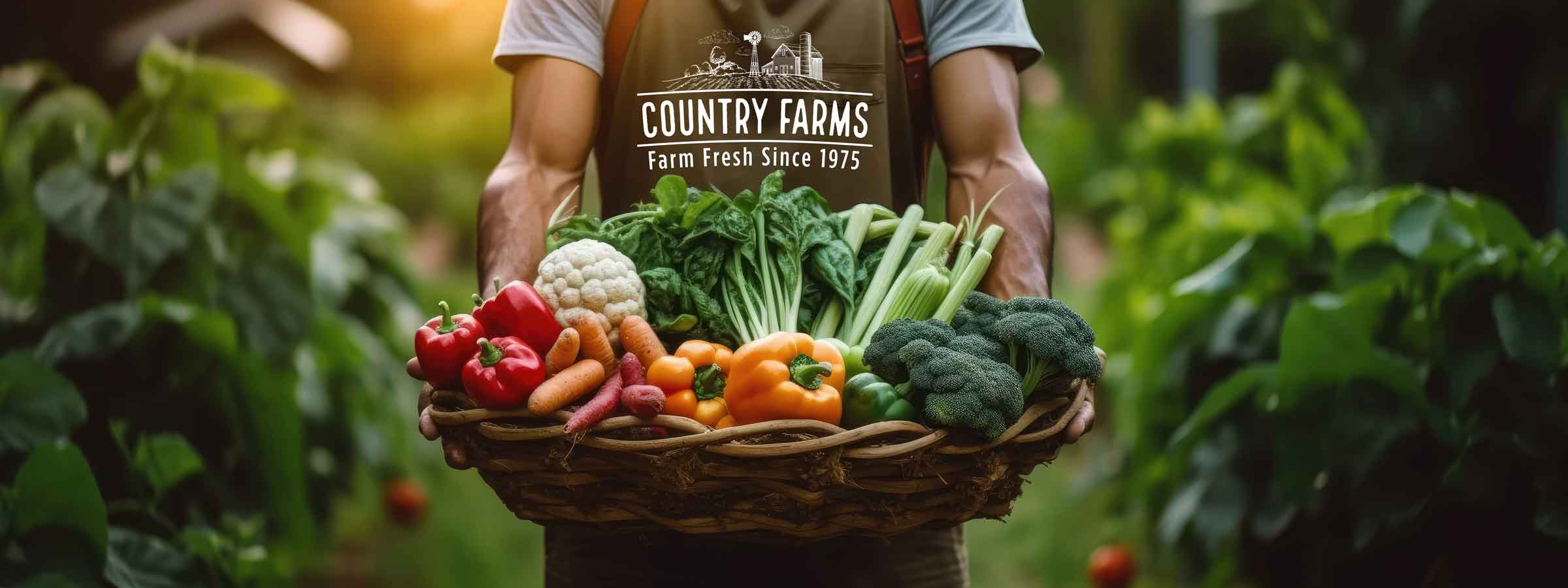 Best Organic Supplements | Country Farms