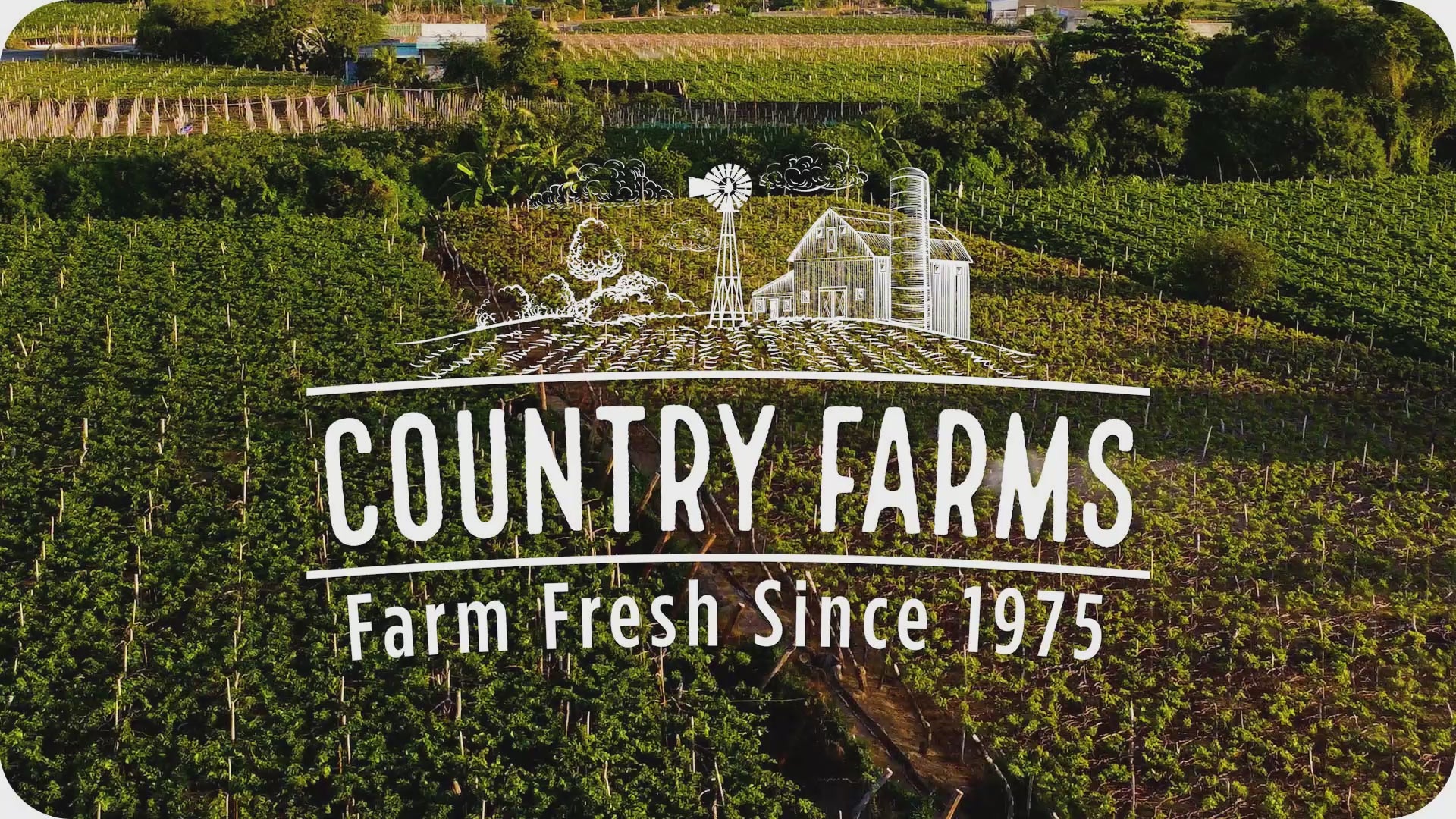 Premium Whole Food Supplements Store | Country Farms
